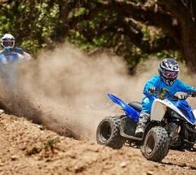 2016 Yamaha RAPTOR 90 For Sale | ATV Classifieds | ATV.com