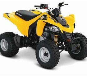 2014 Can-Am DS 250 For Sale | ATV Classifieds | ATV.com