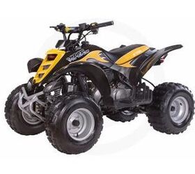 2007 E-TON RXL-90R For Sale | ATV Classifieds | ATV.com