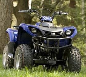 2008 Yamaha GRIZZLY 80 HUNTER For Sale | ATV Classifieds | ATV.com