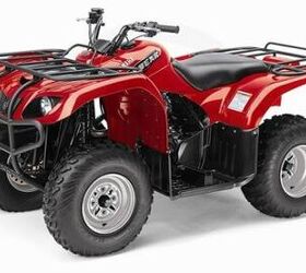 2008 Yamaha BIG BEAR 250 For Sale | ATV Classifieds | ATV.com
