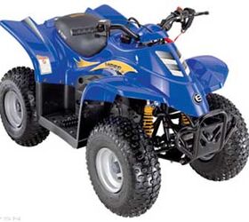 2005 E-TON America Viper 40E (RXL-40E) For Sale | ATV Classifieds | ATV.com