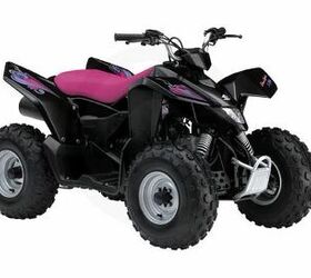 2009 Suzuki QuadSport Z90 Special Edition For Sale | ATV Classifieds ...