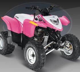 2010 POLARIS 200 PHOENIX For Sale | ATV Classifieds | ATV.com