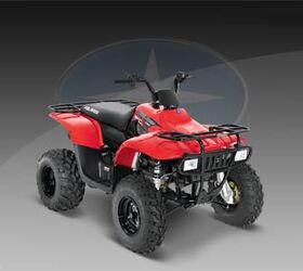 2009 Polaris Trailboss® 330 For Sale | ATV Classifieds | ATV.com