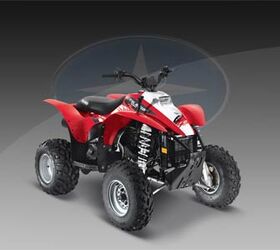 2009 Polaris Trailblazer™ 330 For Sale | ATV Classifieds | ATV.com