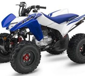 2022 Honda TRX® 250X | ATV.com