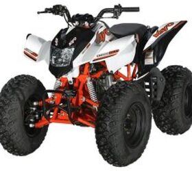 2024 Kayo Storm 150 | ATV.com