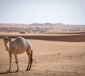 BUILT | Sara Price’s Can-Am Maverick R Rip & Dip Edition | ATV.com