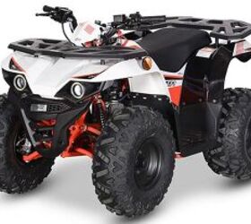 2025 Kayo Bull 125 EFI | ATV.com