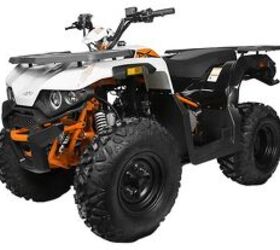 2025 Kayo Bull 180 | ATV.com