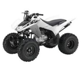 2017 Honda TRX® 250X | ATV.com