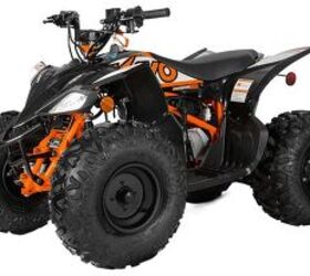 2025 Kayo Predator 125 | ATV.com
