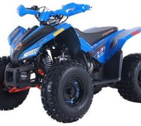 2026 Denago Powersports Trailhawk 10FI | ATV.com