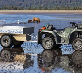 When a Bear Attacks...No You Can't Just Hit the Gas | ATV.com
